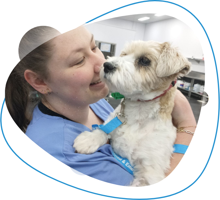 Veterinary Careers in Australia|VetLand Melbourne